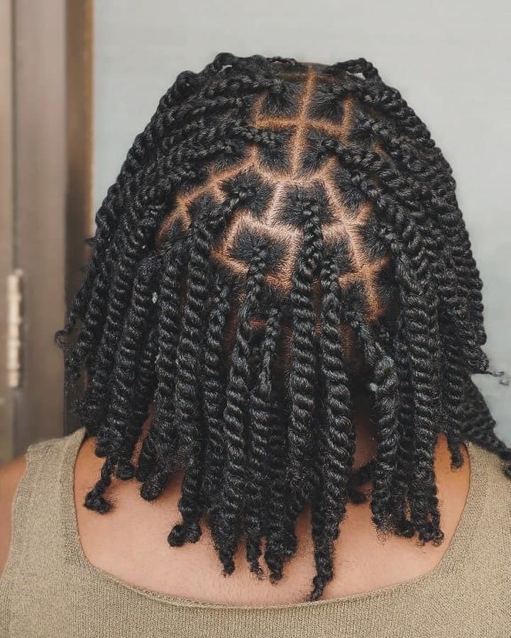 24 Defined Twist Out Natural Hairstyles For A Flawless Look
